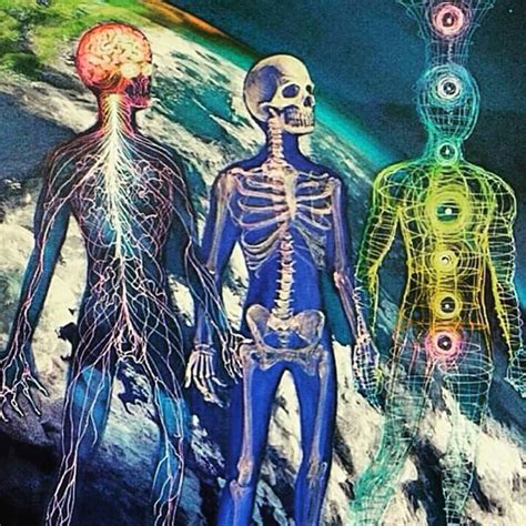 Mind Body And Soul Anatomy Art Spiritual Art Art Inspiration