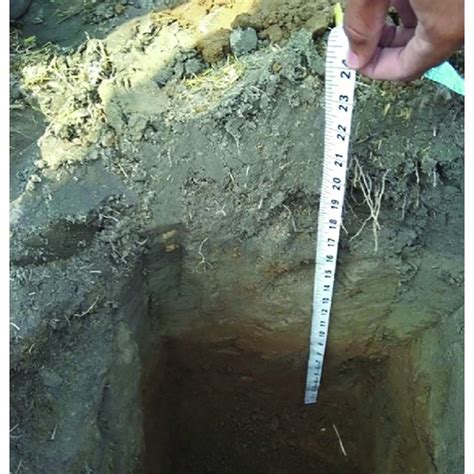 Collection Of Soil Samples For Laboratory Tests Download Scientific Diagram