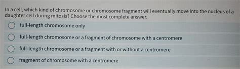 solved in a cell which kind of chromosome or chromosome