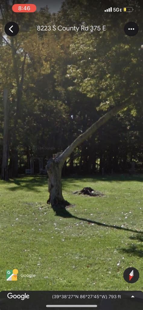 I Found Scp 2935 A Tree Was Split To It Looks Like It Was Struck By Lightning R Scp