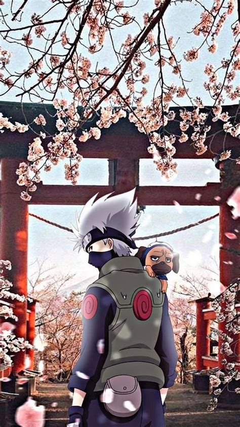 كاكاشي هاتاكي Hd Rxzdfrt