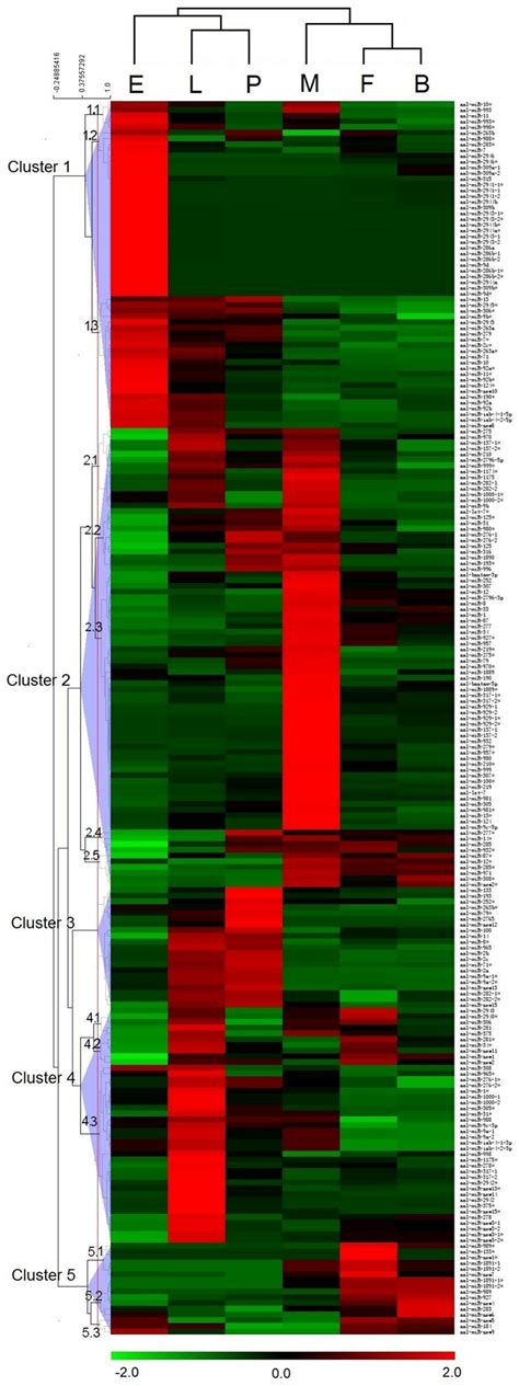 Hierarchical Clustering Of Mirna Expression Normalized Expression Download Scientific Diagram