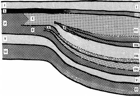 Schematic Diagram Of Laminar Development Of The Visual Cortex In Man Download Scientific