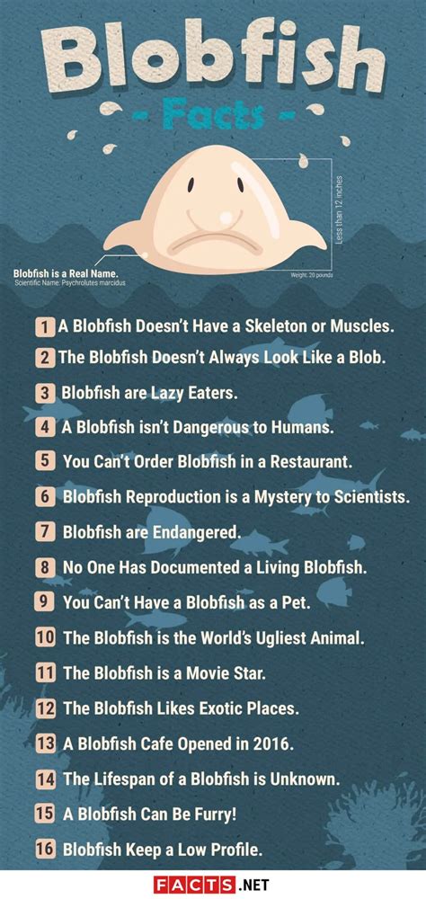 What Are Blobfish Made Of At Lula Atchley Blog