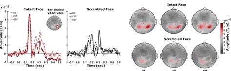 sensor space baseline corrected event related fields erfs and