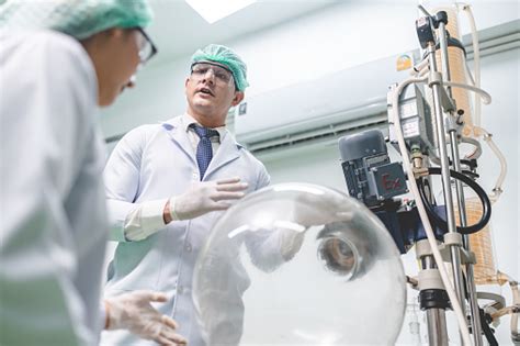 과학자 연구 의학 화학 과학 실험실에서 대체 의료 건강을위한 대마초에서 Cbd 오일을 추출 허브 대마 식물과 간자 잎은 약물에 사용하는 천연 유기 허브입니다 20 24세에