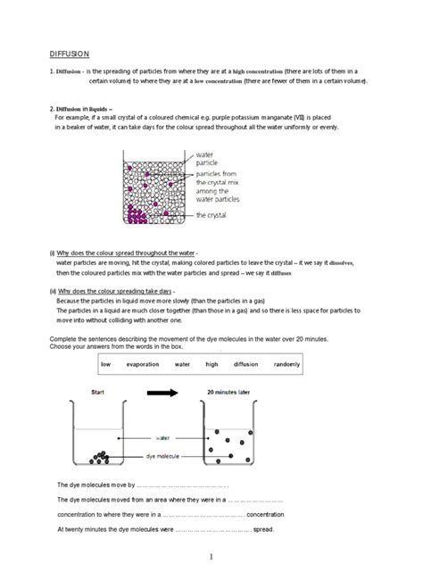 Diffusion In Liquids Pdf