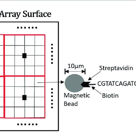 Part Schematic Diagram Of A 90 × 90 Sensor Array Interface Manickam Et