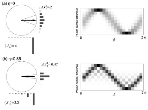 Illustration Of The Quantum Statistics Of Eight Photon States For A Download Scientific