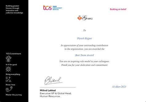 piyush rajput on linkedin tataconsultancyservices