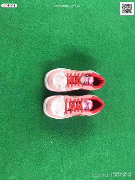 Qc 821 Nike Sb Dunk Low Sneakers Rcnfans
