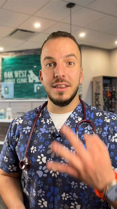 Ако искаш котката ти 🐱 да те обича избягвай тези три грешки 💞 Д р