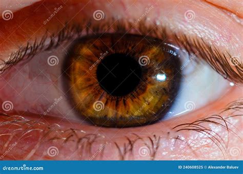 Very Close Macro Photo Of Human Eye Human Eye Close Up Detail With