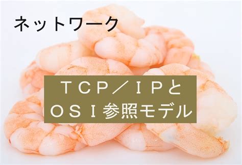 【ネットワーク】tcp ipとosi参照モデル シュリンプークラブ