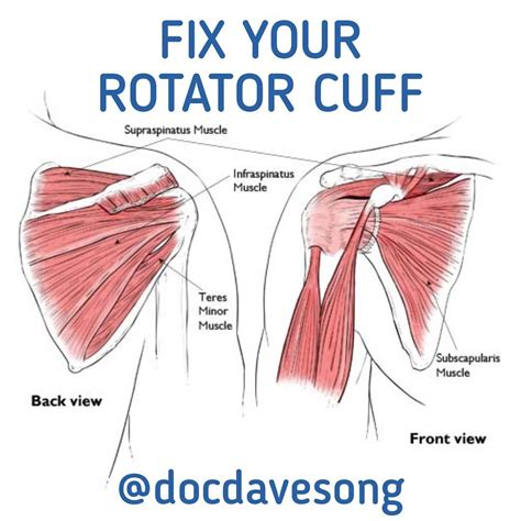 💥💥fix Your Rotator Cuff💥💥 Lets Talk Rotator Cuff These Injuries Are Fairly Common And Can
