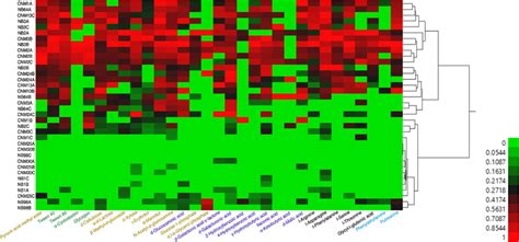 hierarchical clustering of microbial carbon source utilization profiles