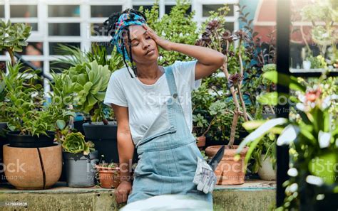 피곤한 정원사 또는 더러운 식물이나 꽃을 청소 한 후 두통 스트레스 또는 소진이있는 흑인 여성 정원 가꾸기 피로 또는 환경 유지 보수 작업 후 쉬는 지친 소녀 두통에 대한