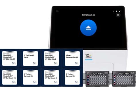 Expresion Genética A Nivel De Célula única Bonsai Lab