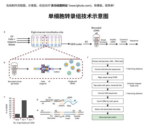 评测了10款画流程图软件，这4款最好用！（部分免费），画流程图常用软件