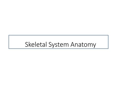 SOLUTION Class Iii Anatomy Of The Skeletal System Bone Lecture Studypool