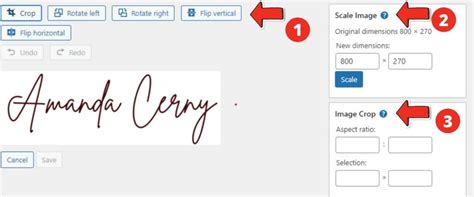 wordpress basic documentation by essential web apps essential web apps