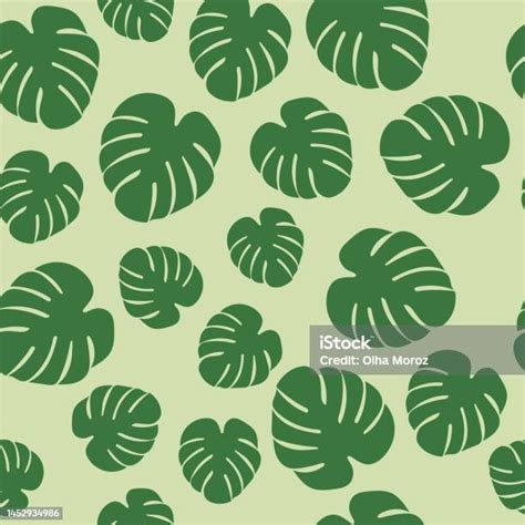 벡터로 만든 다양한 크기의 Monstera 잎이 있는 매끄러운 패턴 배경 포장 장식 벽지 섬유에 대 한 패턴입니다 0명에 대한 스톡 벡터 아트 및 기타 이미지 Istock