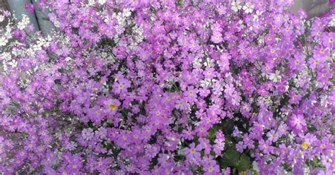 病気になるのは運が悪いことなのか？｜madokalovesex｜note