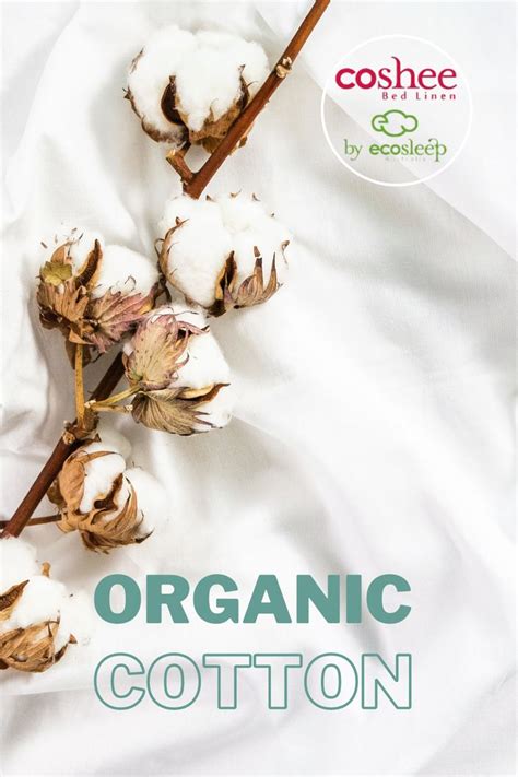 Benefits Of Using Organic Cotton Sheets