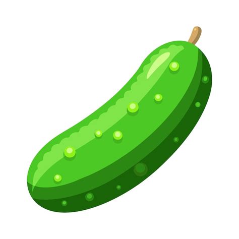 Green Cucumber Vector Illustration Premium Ai Generated Vector