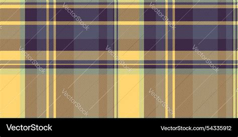 Ethnic Seamless Tartan Pattern Grid Background Vector Image
