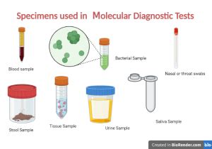 Molecular Diagnostics Tests Definition Principle Types Instruments Sciencevivid