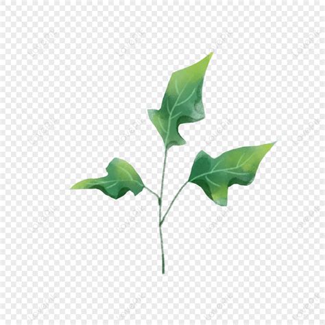 귀여운 잎 만화 여름과 가을 일러스트 요소 그림 벤딩삽화기발한 Png 일러스트 무료 다운로드 Lovepik