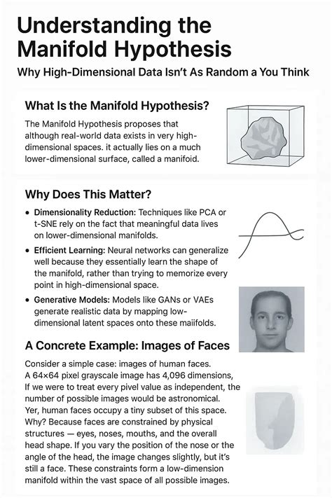 Multi Label Classification With Python A Simple Guide By İlyurek Kılıç Medium