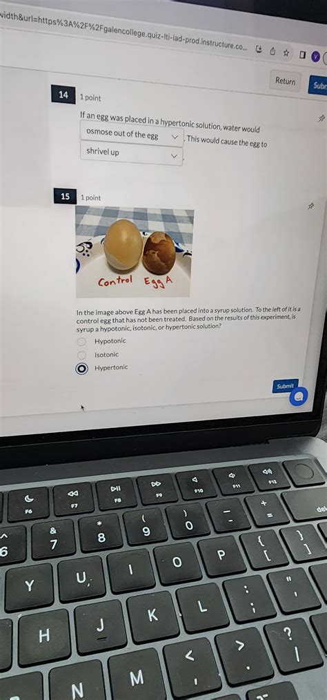 Solved If An Egg Was Placed In A Hypertonic Solution Water