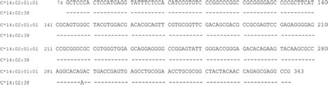 alignment of the exon 2 sequence of c 14 02 38 with the sequence of