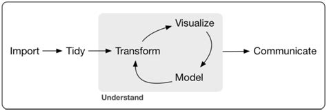 Transpor Linhas Em Colunas No R Muitas Vezes No Nosso Dia A Dia De By Thomaz Masayuki Medium