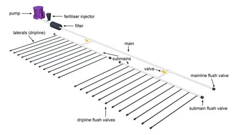 Underground Drip Irrigation System