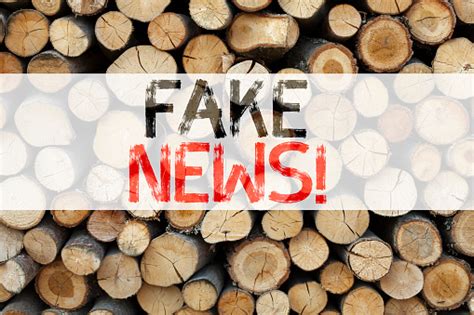 개념적 발표 텍스트 캡션 영감 선전 신문 가짜 뉴스 나무 배경 복사 공간에 대 한 가짜 뉴스 비즈니스 개념을 보여주는 0명에 대한 스톡 사진 및 기타 이미지 Istock