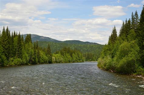 강 개울 경치 경치가 좋은 고립된 고요한 그림 같은 녹색 대한민국 돌 목가적인 무성한 물 바위 방해받지 않는 비도시 사행 생태 생태계 숲
