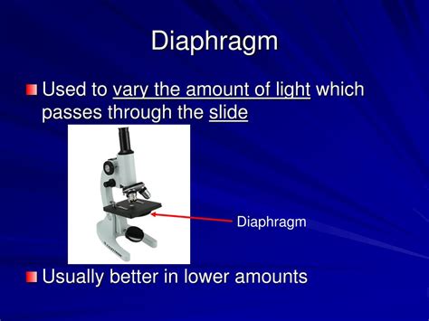 5 Types Of Microscopes With Definitions Principle Uses Labeled Diagrams
