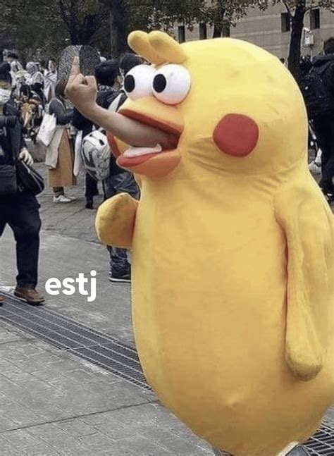 How The Cognitive Functions Appear In Each Position 5 8 U Salsbury Steak © R Mbti