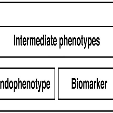 endophenotypes and biomarkers should be considered subsets of