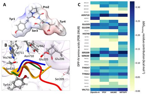 Molecular Interactions Between Dpp Iv And Pajuro Peptides After Model Download Scientific