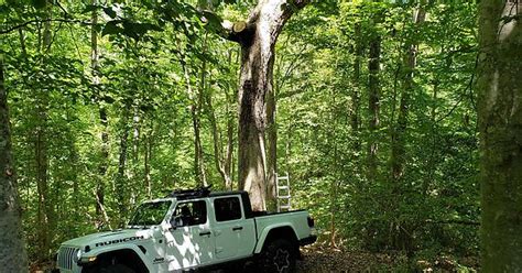 Treehouse Build Album On Imgur