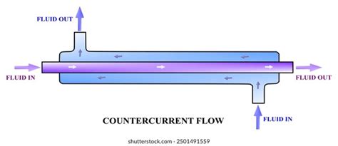 Counter Current Flow Countercurrent Flow Heat Stock Illustration 2501492071 Shutterstock