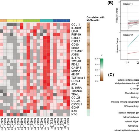 Clustered Expression Patterns Of Plasma Differentially Expressed