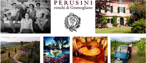 Perusini VÍno Kamelot