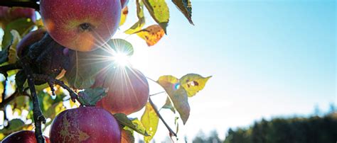 Welcome To The Vp Finance And Operations Portfolio Vp Finance And Operations Vpfo