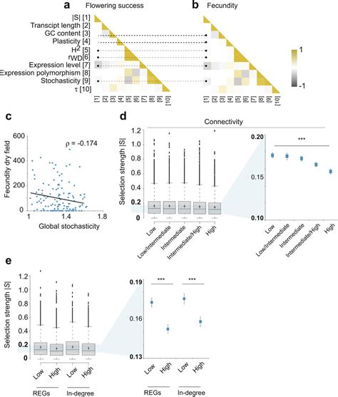 Stochastic Expression Noise And Transcript Connectivity Limit The Download Scientific Diagram